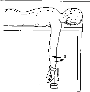 Welcome to Adobe GoLive 6